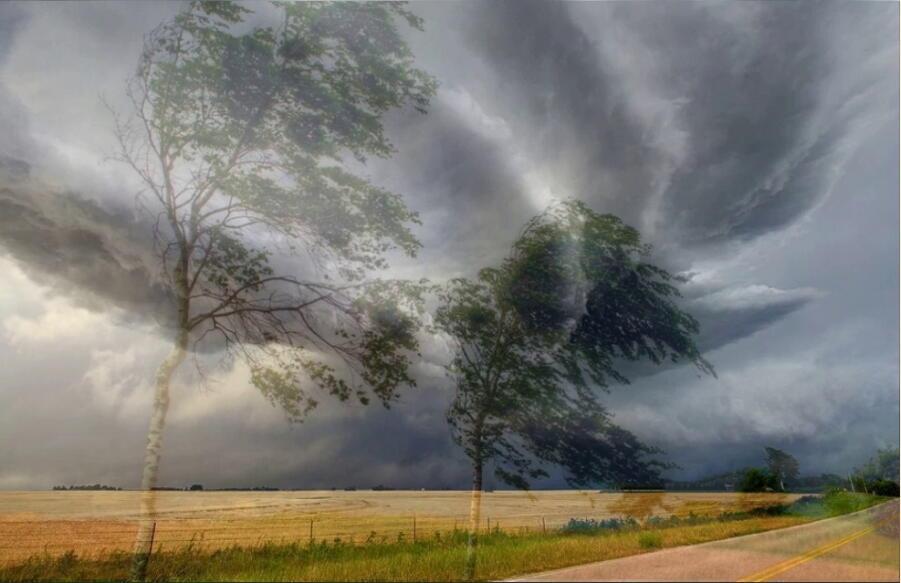 Shamol energiyasidan foydalanish va samaradorligi – Tarxon